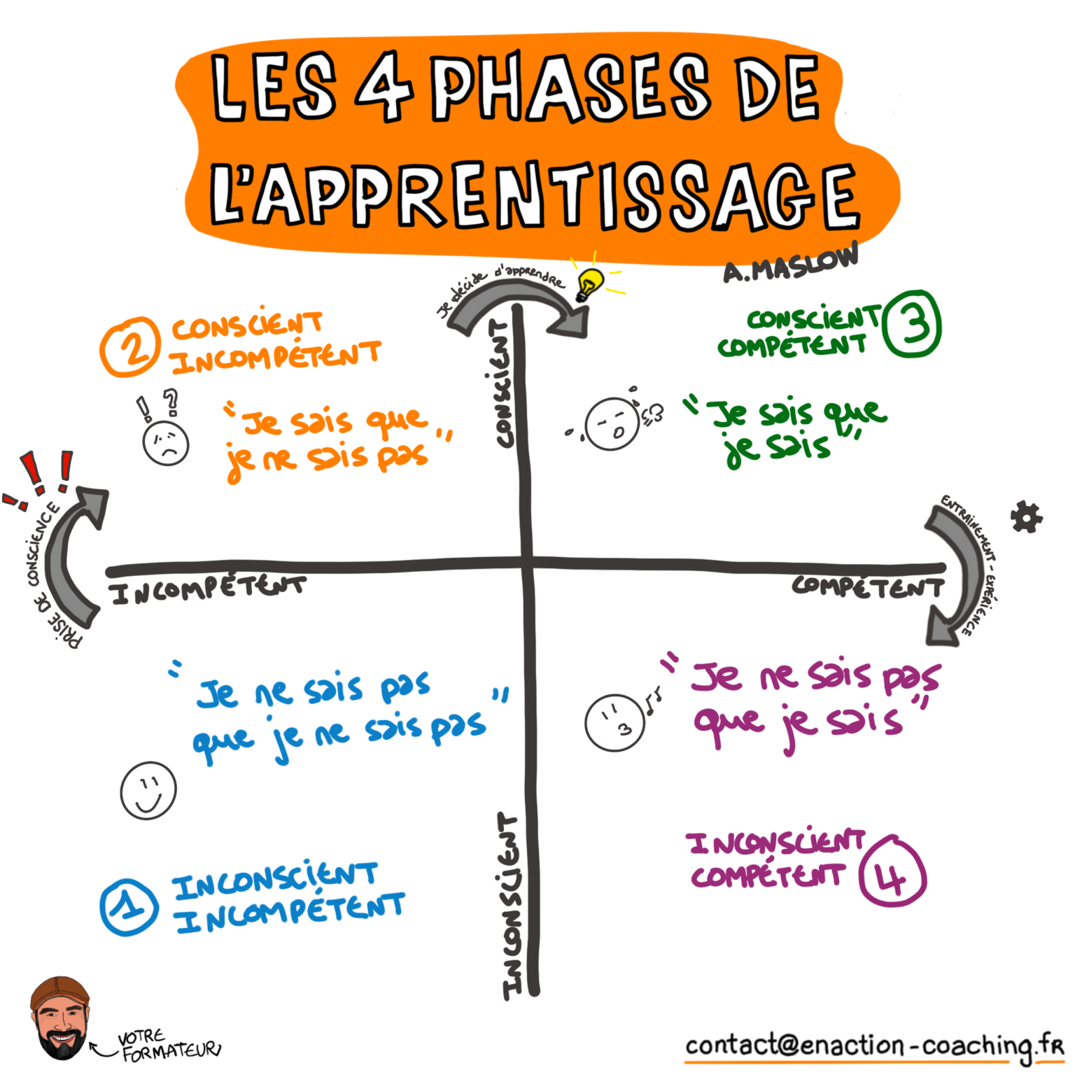Les 4 phases de l'apprentissage - Enaction coaching